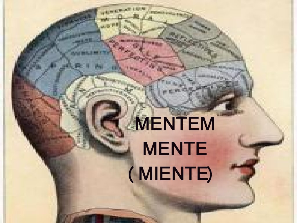 PAULATIM DISCERE: MENS MENTIS: mente
