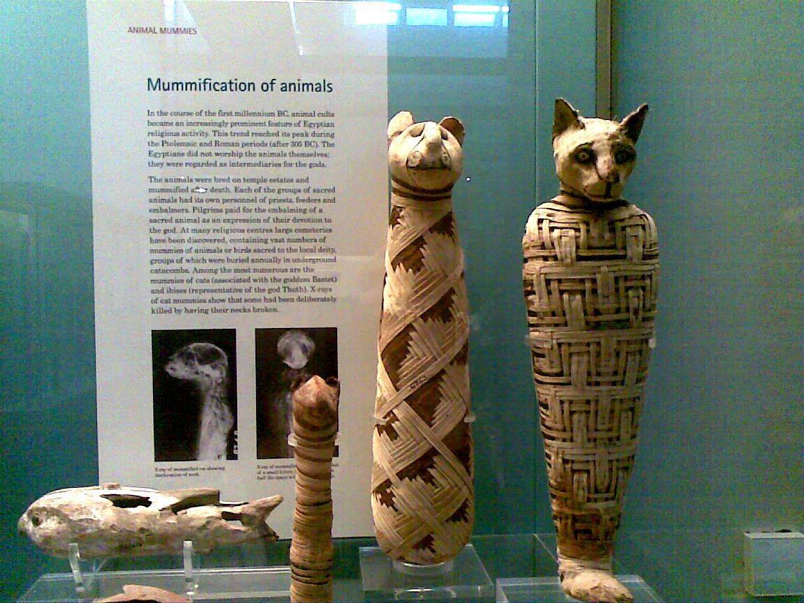 Cúmulos y limbos: Cleopatra's Mummy at the British Museum Cúmulos y limbos: Cleopatra's Mummy at the British Museum