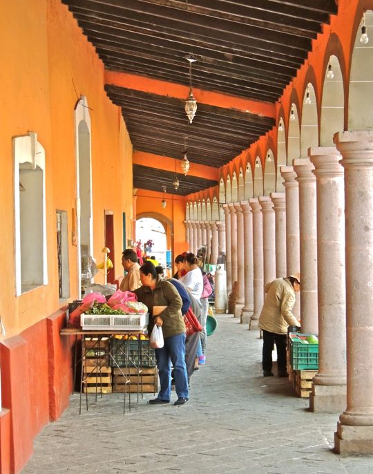 Jim & Carole's Mexico Adventure: Amacueca Part 1 of 2: Hillside ...