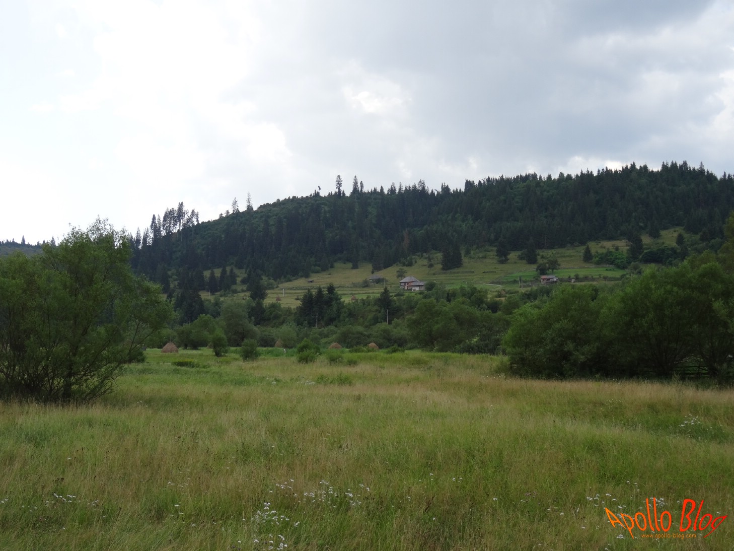 Apollo Blog: Duminica pe Valea Muresului