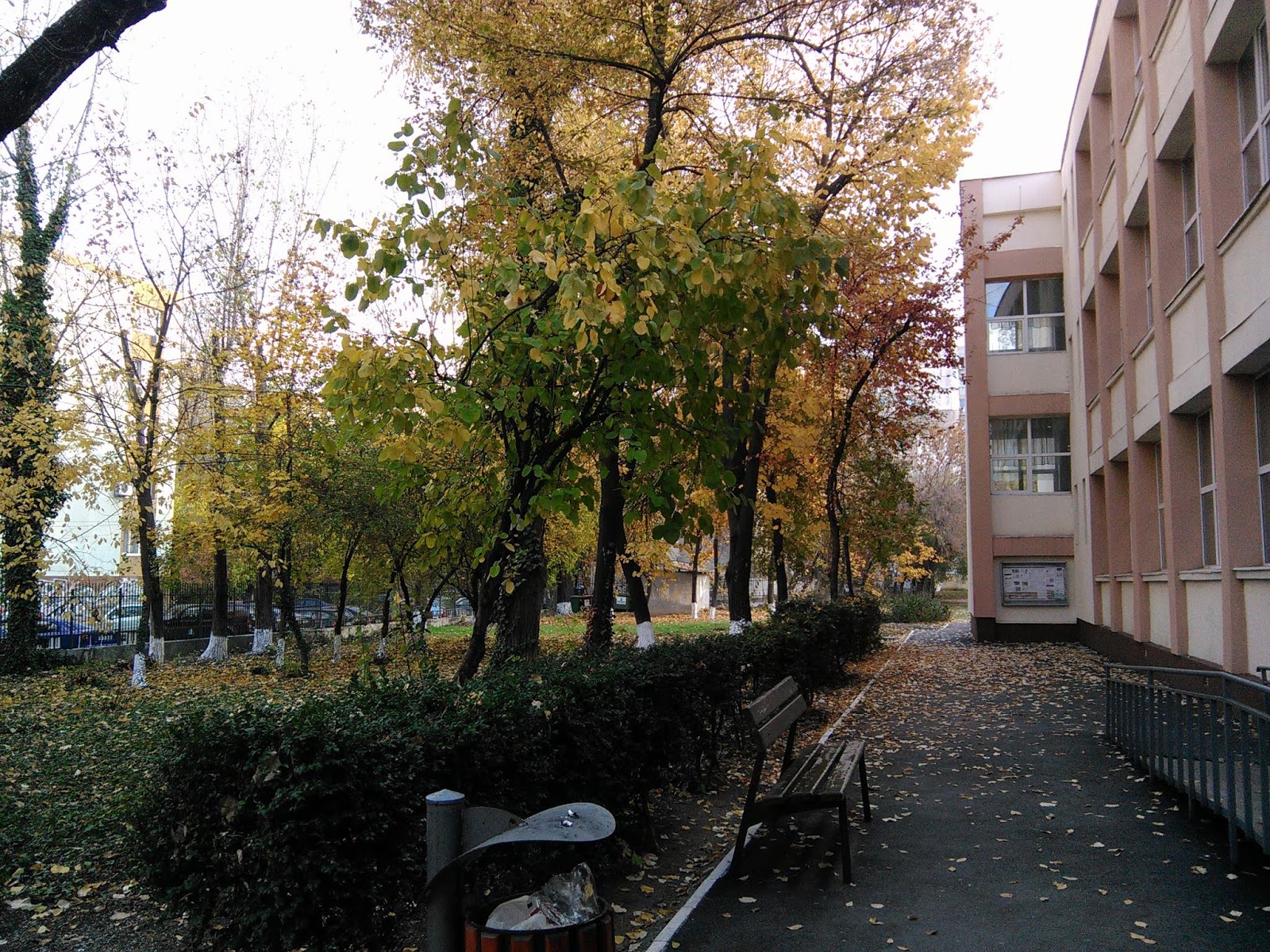 oliviamaria(nicolae)marcov: bucharest, romania: 10 Noiembrie 2019 ...