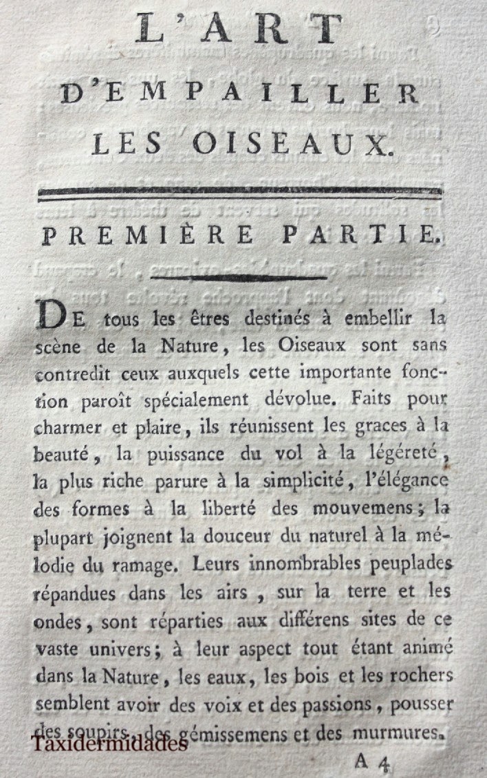 "L'art d'empailler les oiseaux" de Hénon y Mouton-Fontenille ...