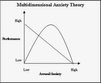 A Picture of Half the Story: Anxiety and Arousal in Sport Performance