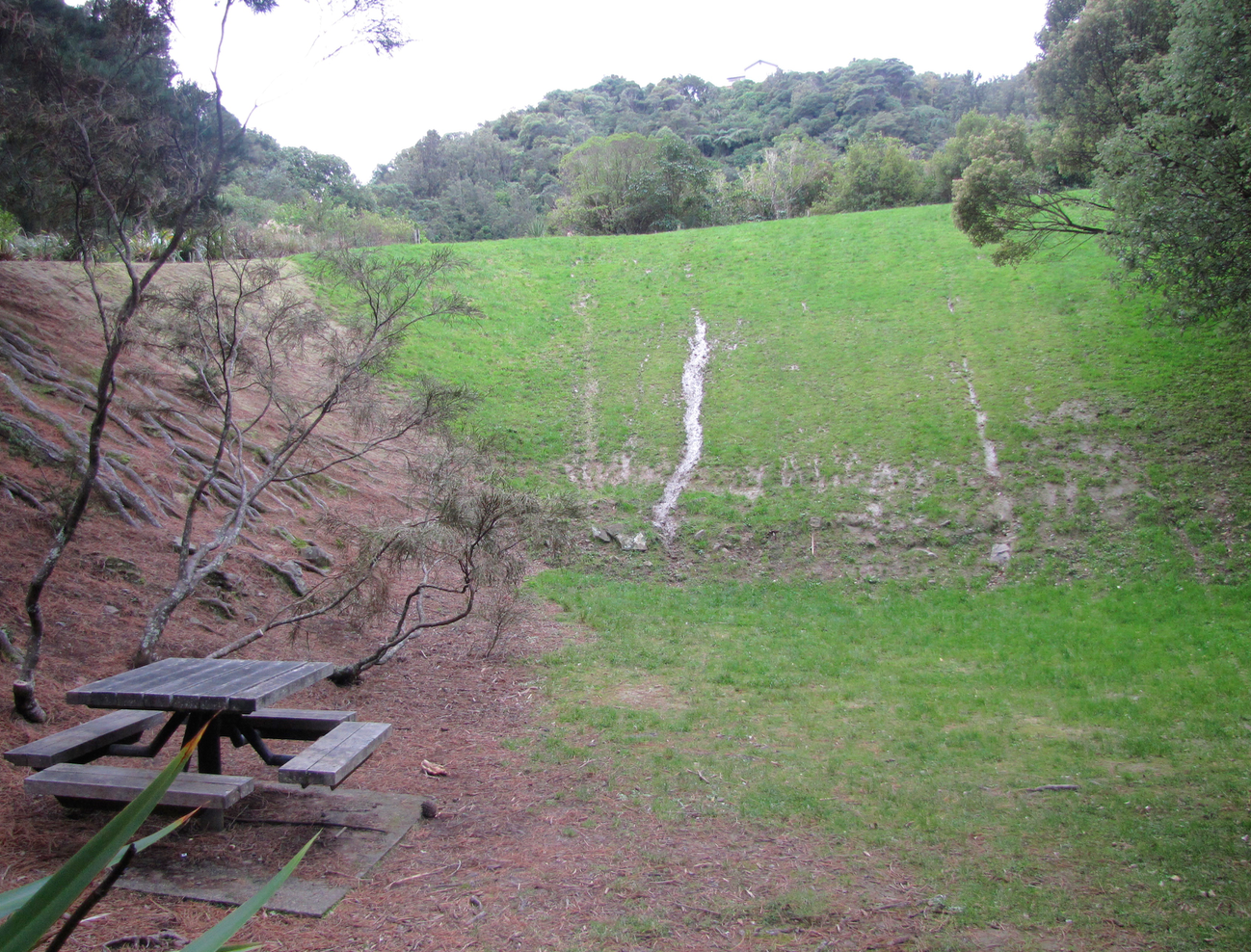 Explore and Discover Nature: Percy Scenic Reserve - Explore nature in ...