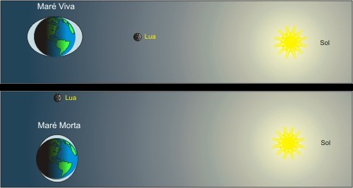 João do Carmo: FASES DA LUA