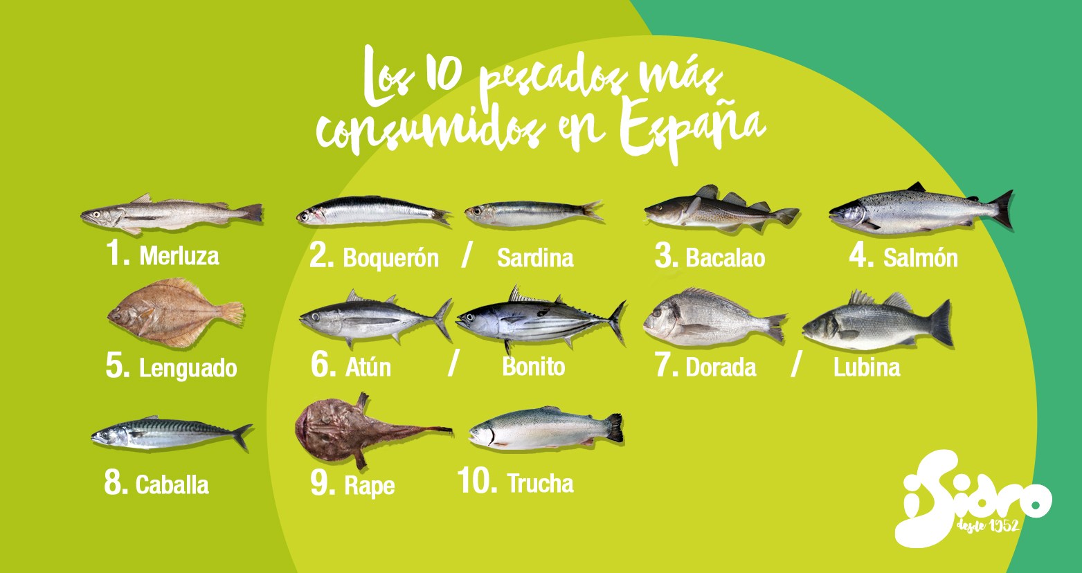 ¿Conocemos nuestro pescado?. III. La merluza.