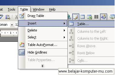 Aplikasi komputer: Table dan Equation