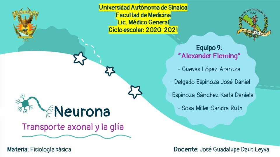 Fisiología 2020 Dr Daut / Grupo III-02: Grupo III-2. Modulo 5 ...