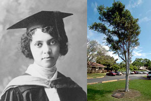 Ho‘okuleana: “Miss Ball Won The Fight For Others”