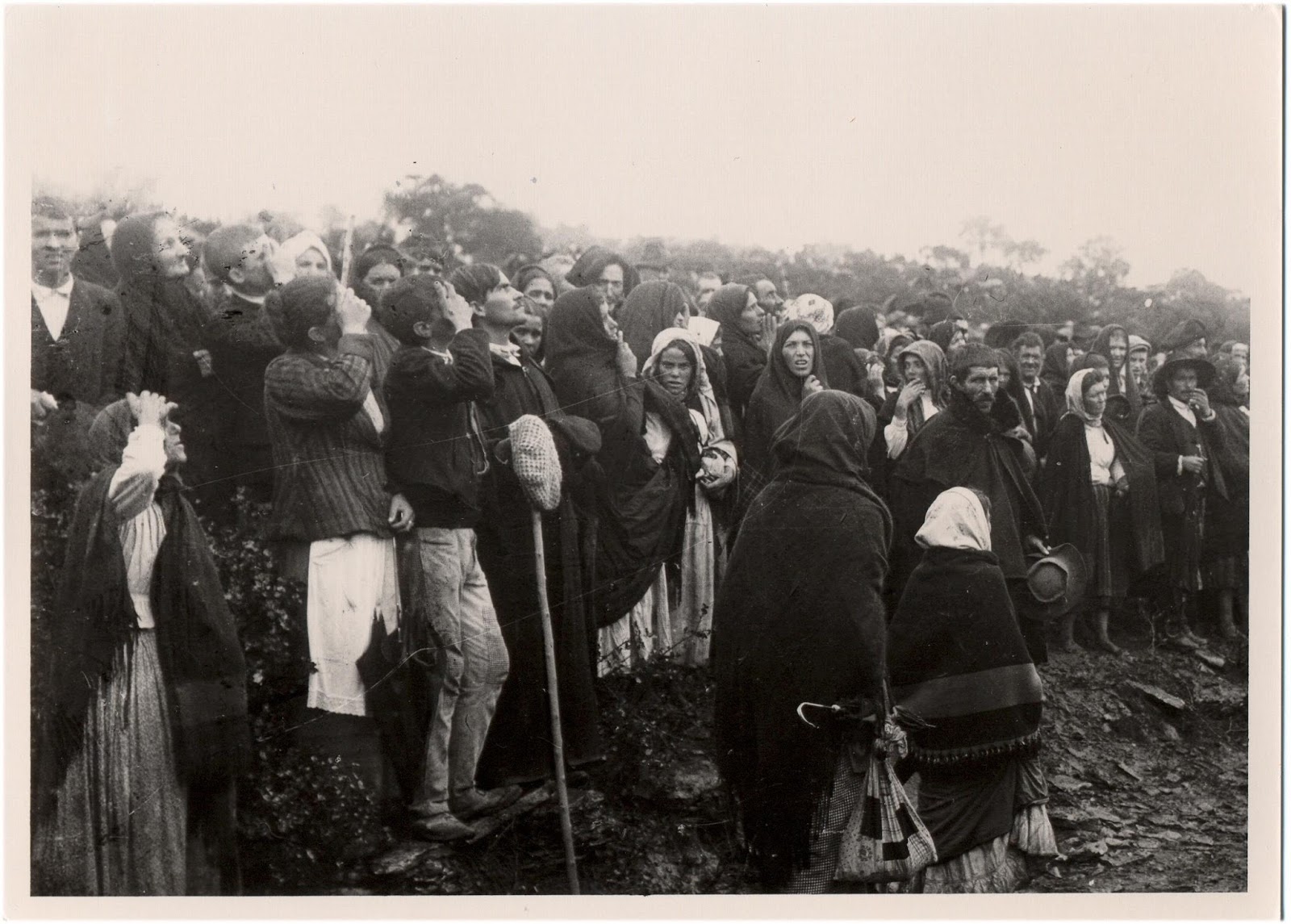 O milagre do sol ~ Vislumbres do seio da musa