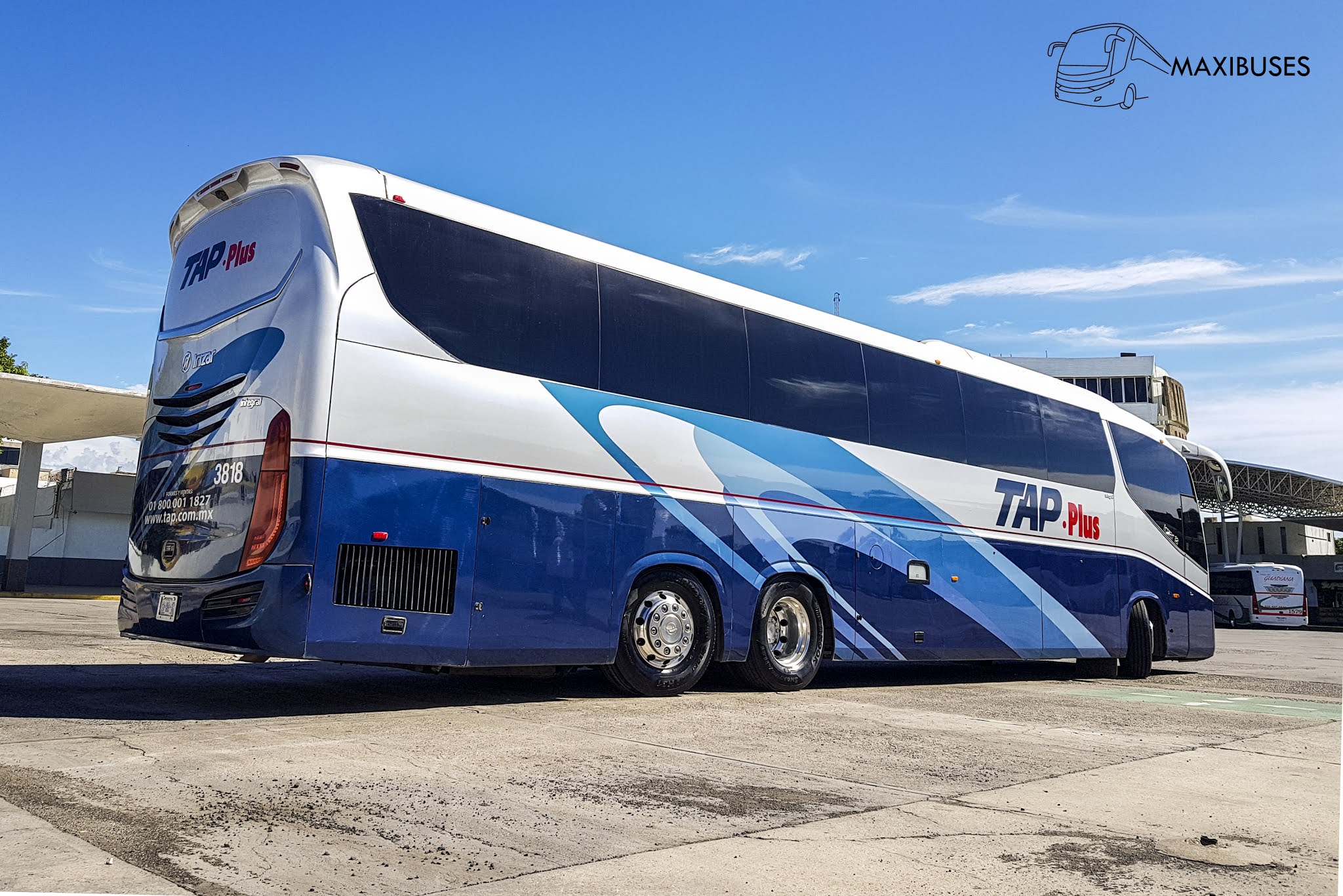 MAXIBUSES: TRANSPORTES Y AUTOBUSES DEL PACÍFICO, PLUS (TAP)