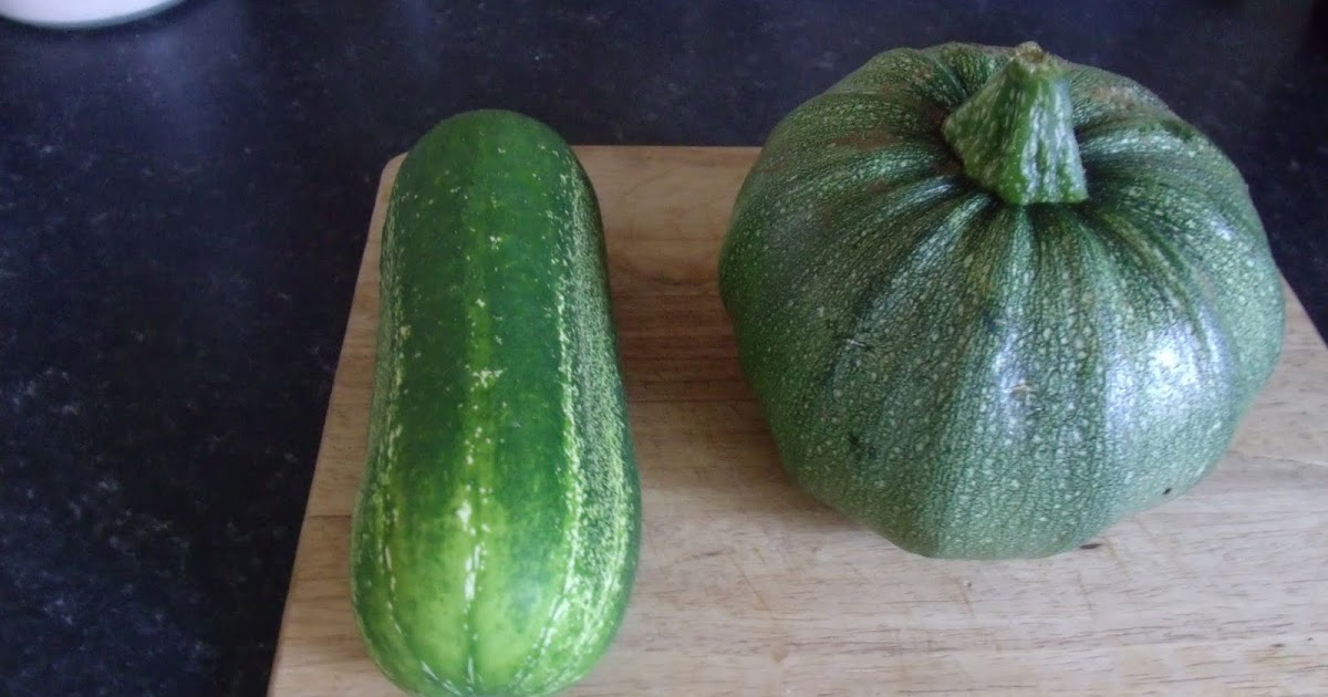 First Courgette and Cucumber of the year