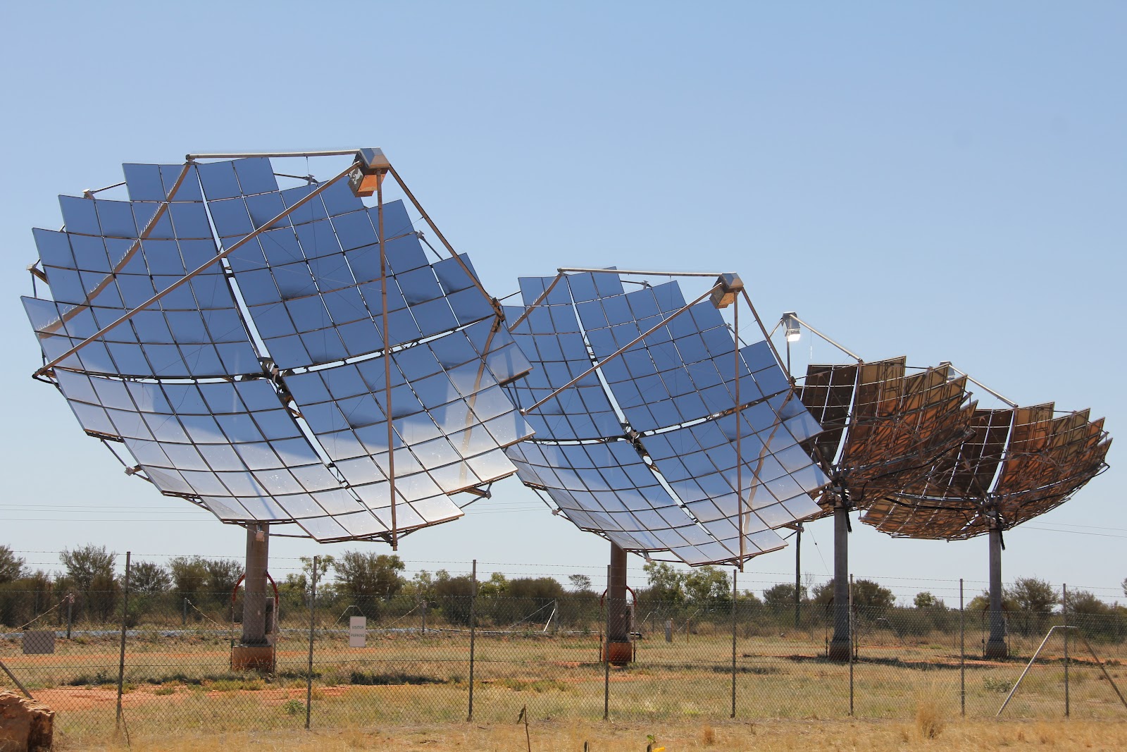 Schrapel Family Adventures: Back to Birdsville