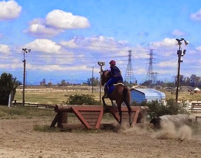 Eventing in Color: Eventing Explained: Competition Levels