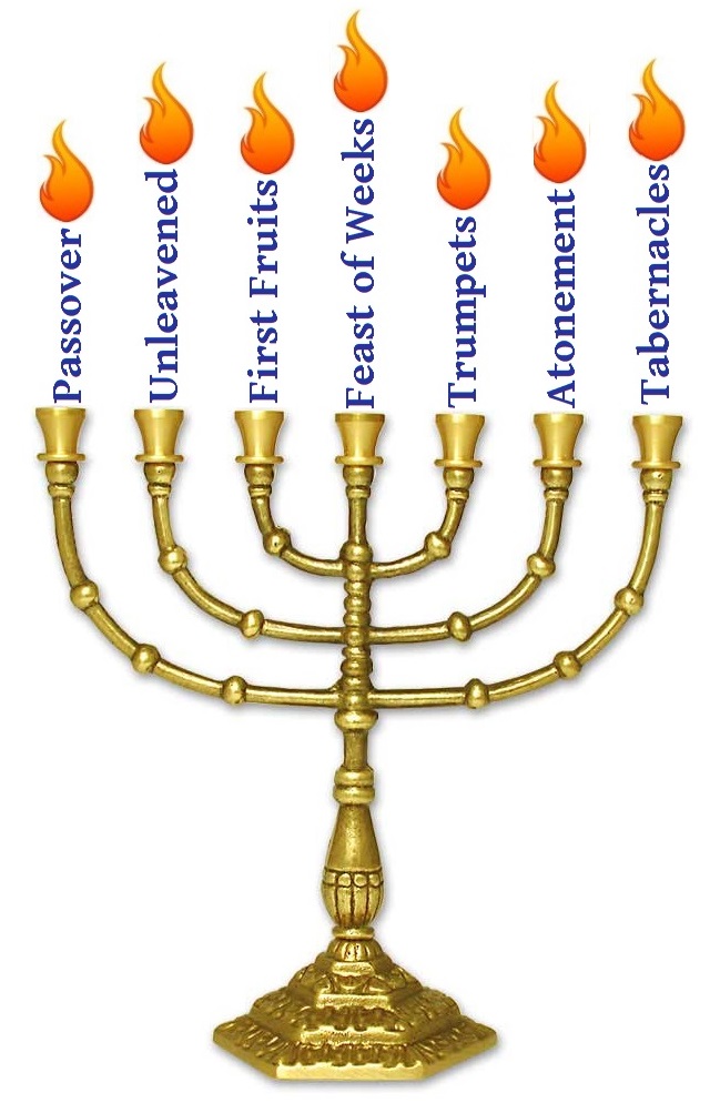 Isaiah Sixty One Seven: Seven Skinny Cows Become Seven Fat Cows: The ...