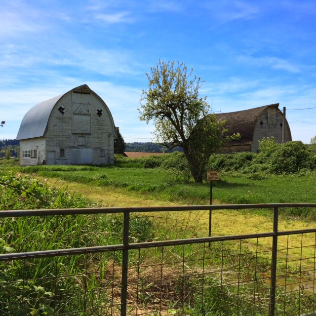 Little Farmstead: Springtime in the Country… Barn Love!