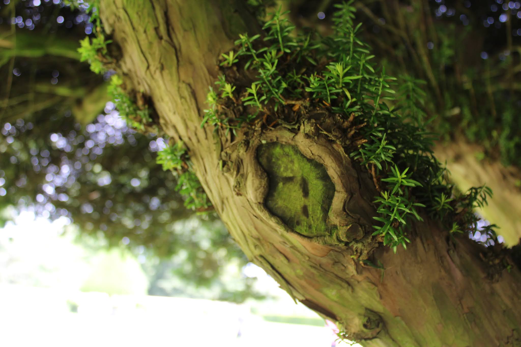 Another National Trust Treasure | Hardwick Hall