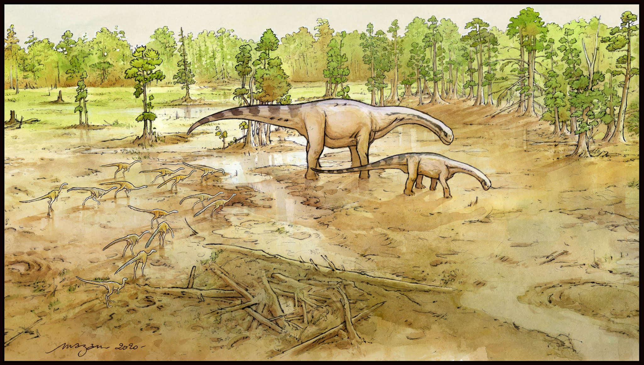 Petit carnet paléo: De la phylogénie des sauropodes en général et des ...