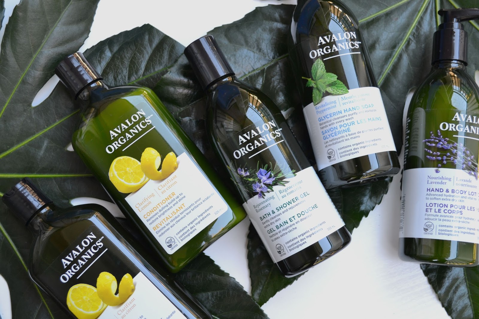 BATH & BODY | Avalon Organics Favourites + GIVEAWAY! | Cosmetic Proof ...