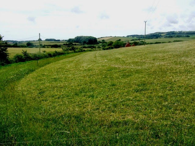 Lin's Isle of Wight Walking Blog: Walk 17 Around Rookley - 4.8 miles