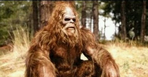 Legends of a global: The Legend of Big Foot