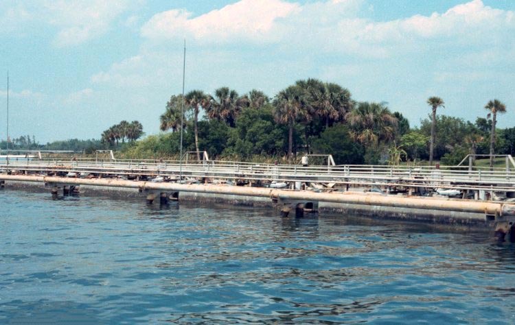 Disney Avenue: The Story Behind Walt Disney World's Infamous Wave Machine