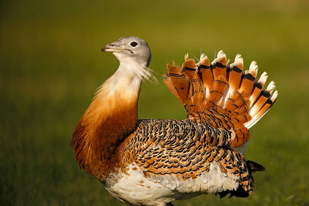 Prrrrrrrrrrrrrrrrrrrrrrrrrrrrrrrrr