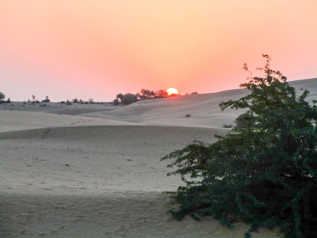 Vintage Vixen: Travels in India, 2020 - A Night in the Thar Desert