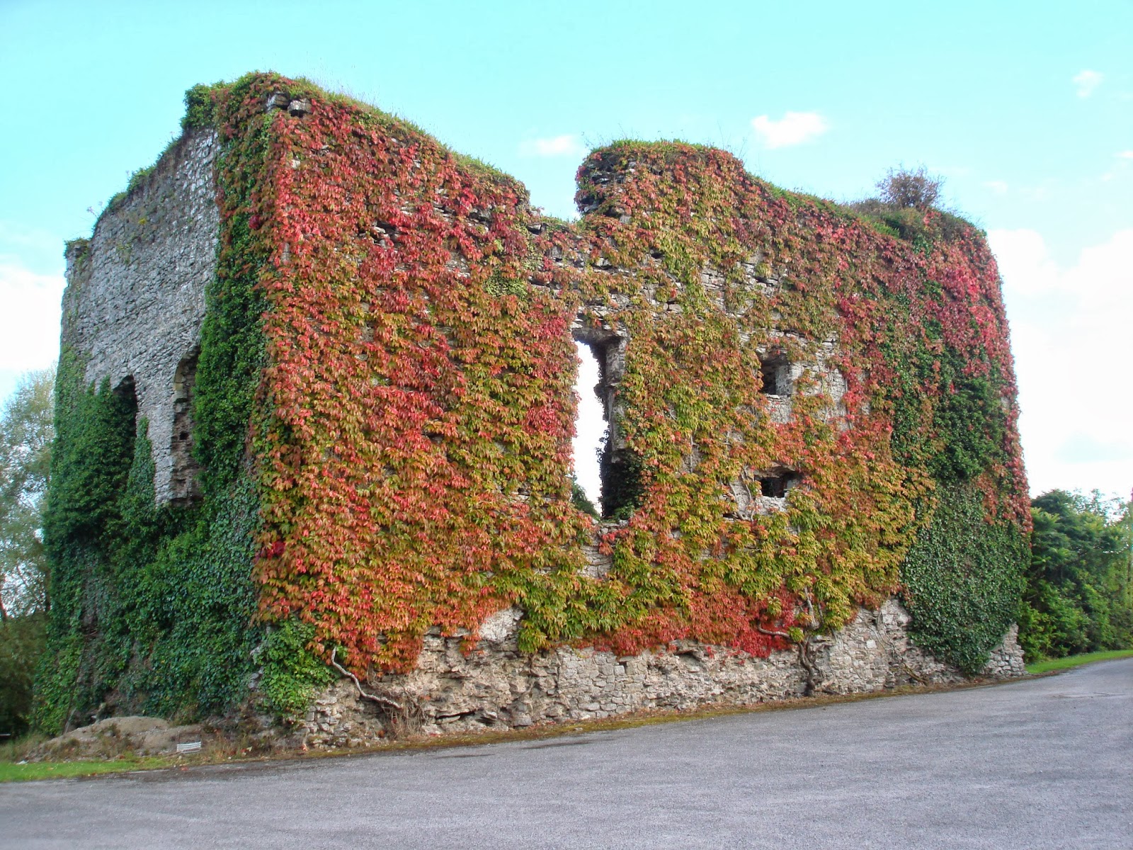 Medieval News: Mocollop Castle, Co. Waterford: A history of a medieval ...
