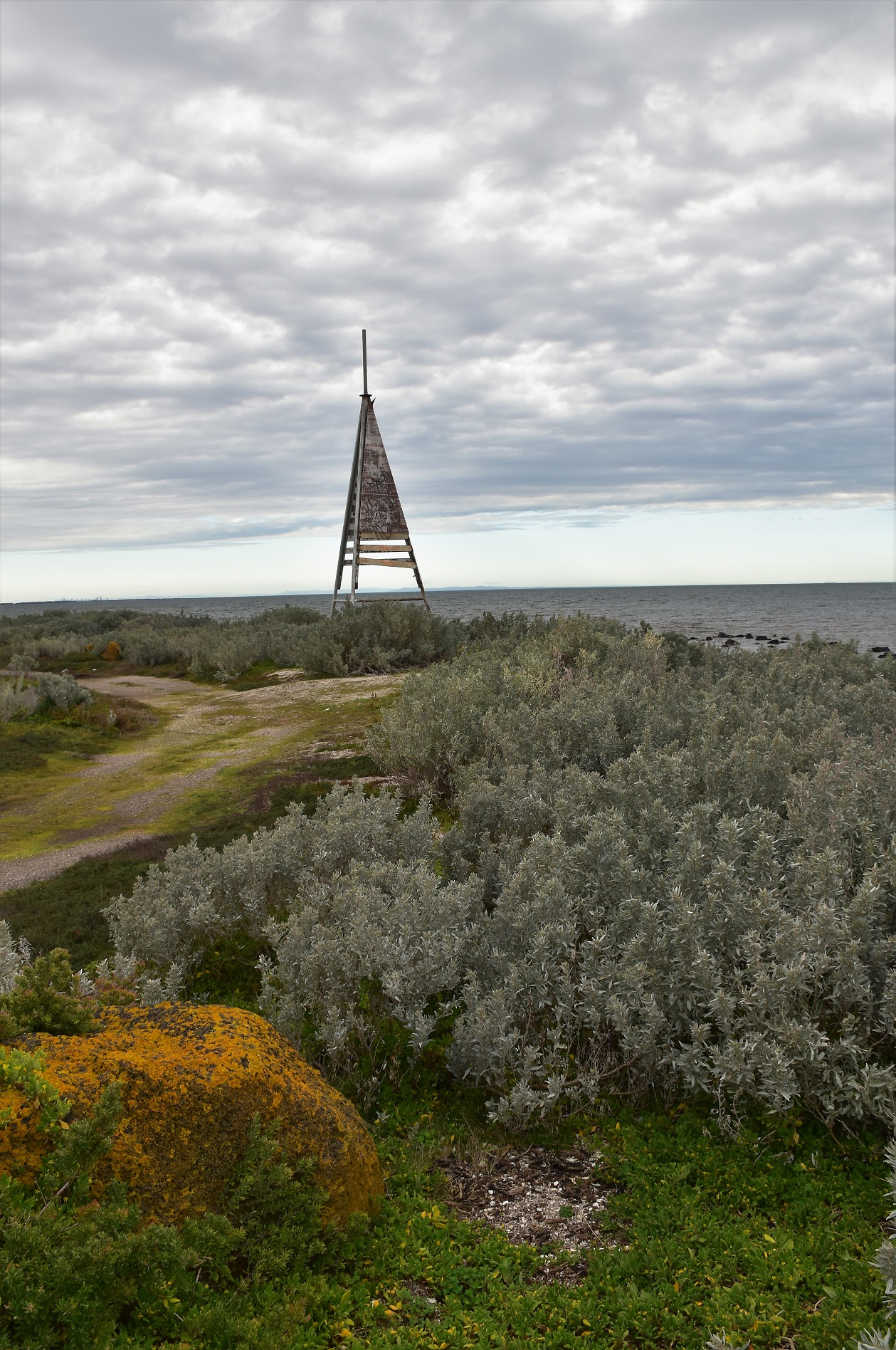 Goin' Feral One Day At A Time: Kirk Point Walk - July 2021