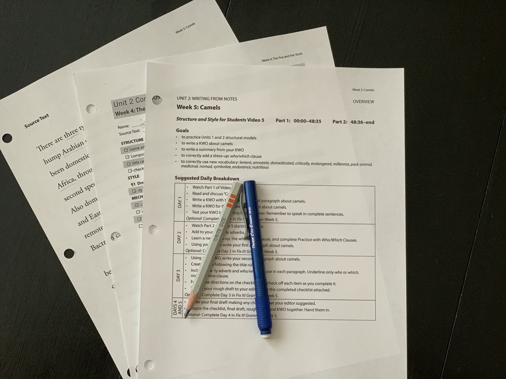 A Stable Beginning: Learn to write with Structure and Style from ...