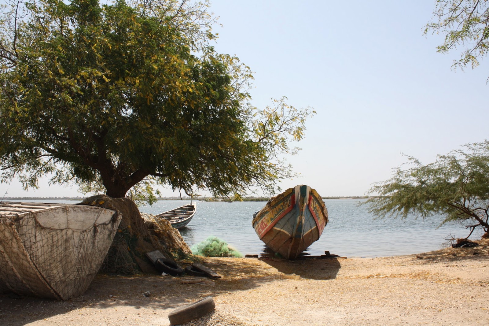 Mi Universo Viajando: PARQUE NATURAL SINE SALOUM SENEGAL