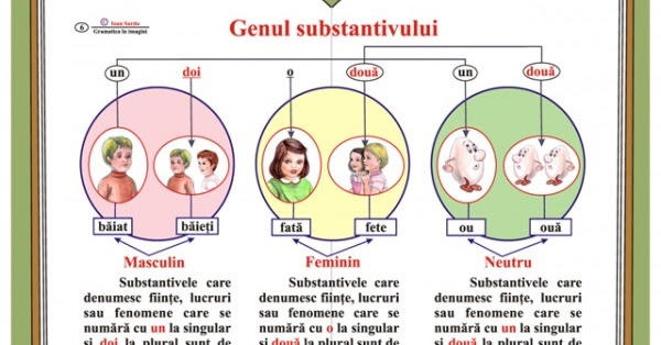 Învață limba română: Genul substantivului