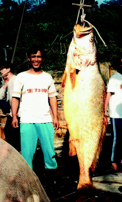 Virginia Tech Ichthyology Class : 2019