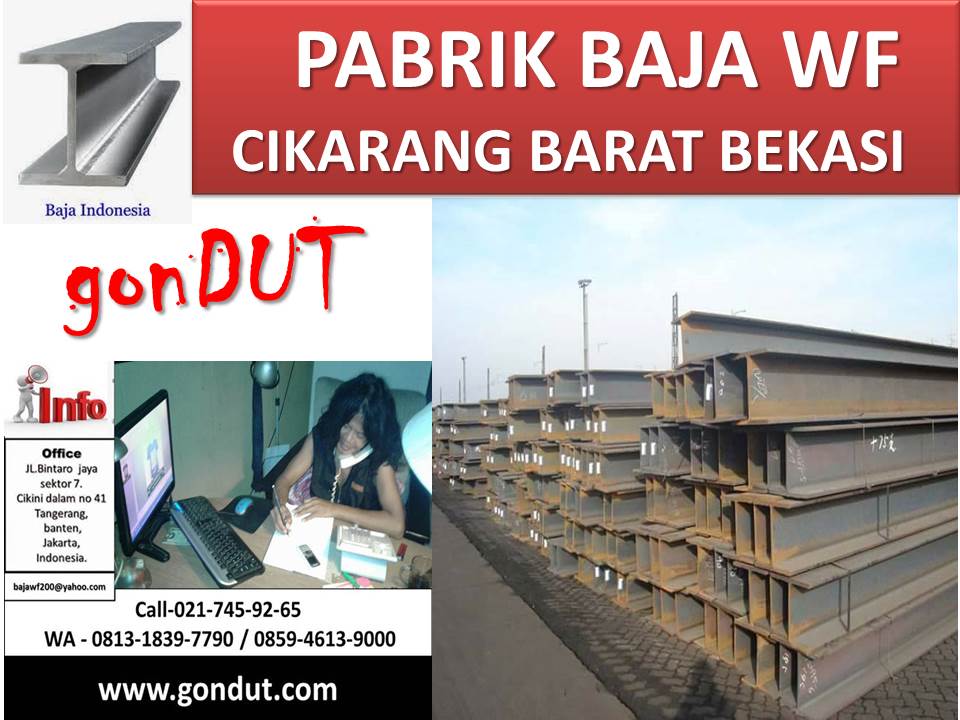 baja wf 700: baja wf 700