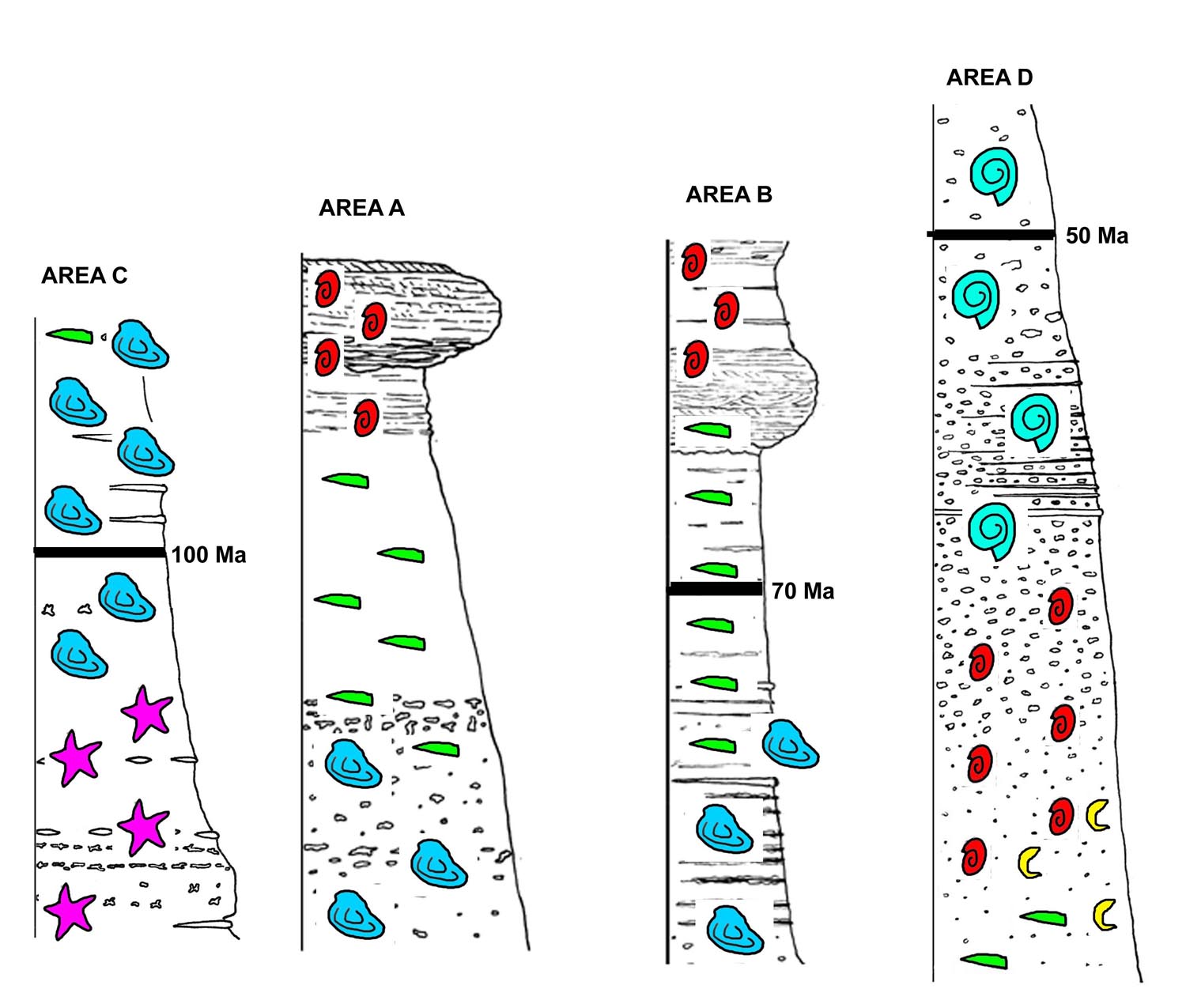Satuan Biostratigrafi - Geological Melankolia