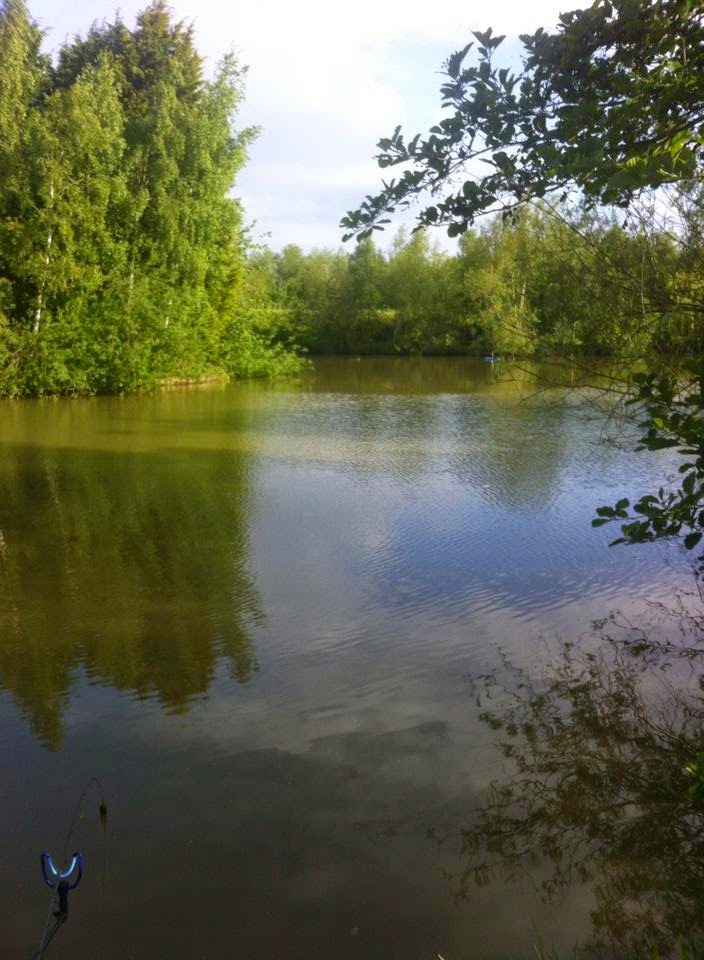 UK fishing venues: Raker Lakes (Acorn Lake) - Venue Review