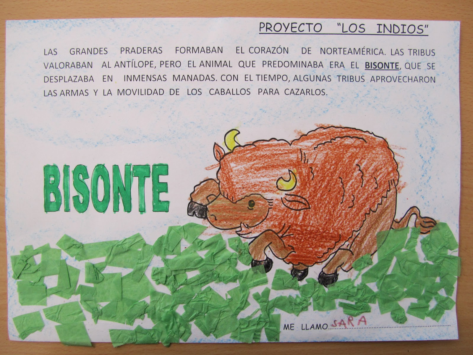 Yo aprendo, tú aprendes: PROYECTO "LOS INDIOS"