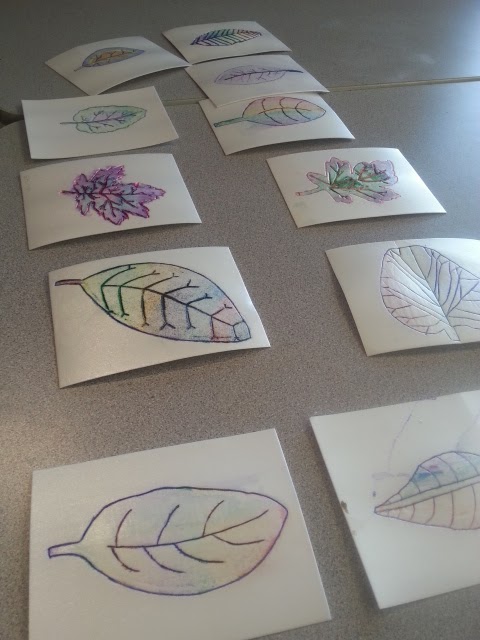 a faithful attempt: Leaf Styro Marker Prints