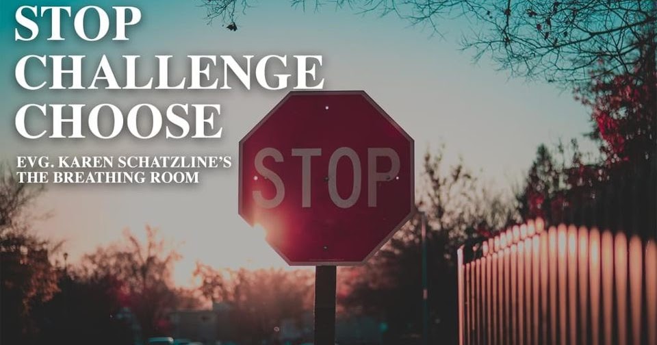 Karen Schatzline: Stop ... Challenge ... Choose