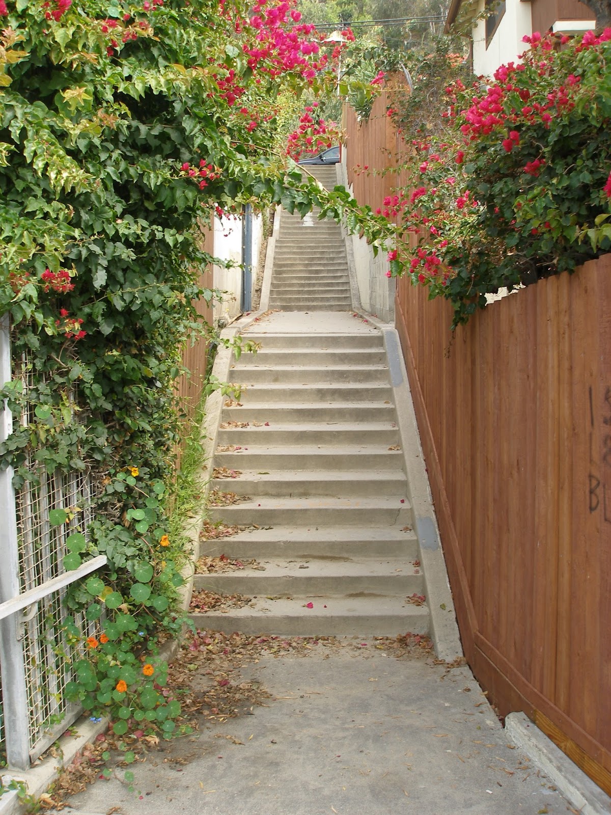 Los Angeles: Climbing the Hidden Stairways: Staircases in Pacific Palisades