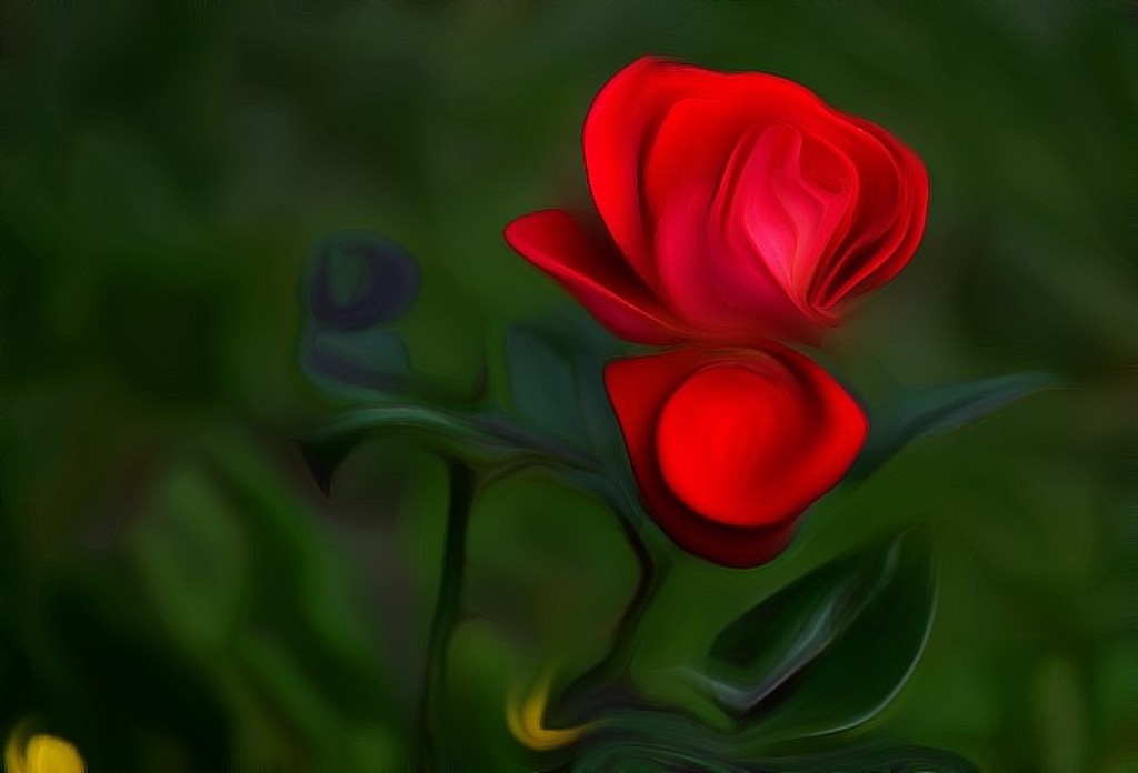 ps-pictureshop: Rose, Roza, hoa hồng, Roses, faqekuq, ruže, roser, roses,