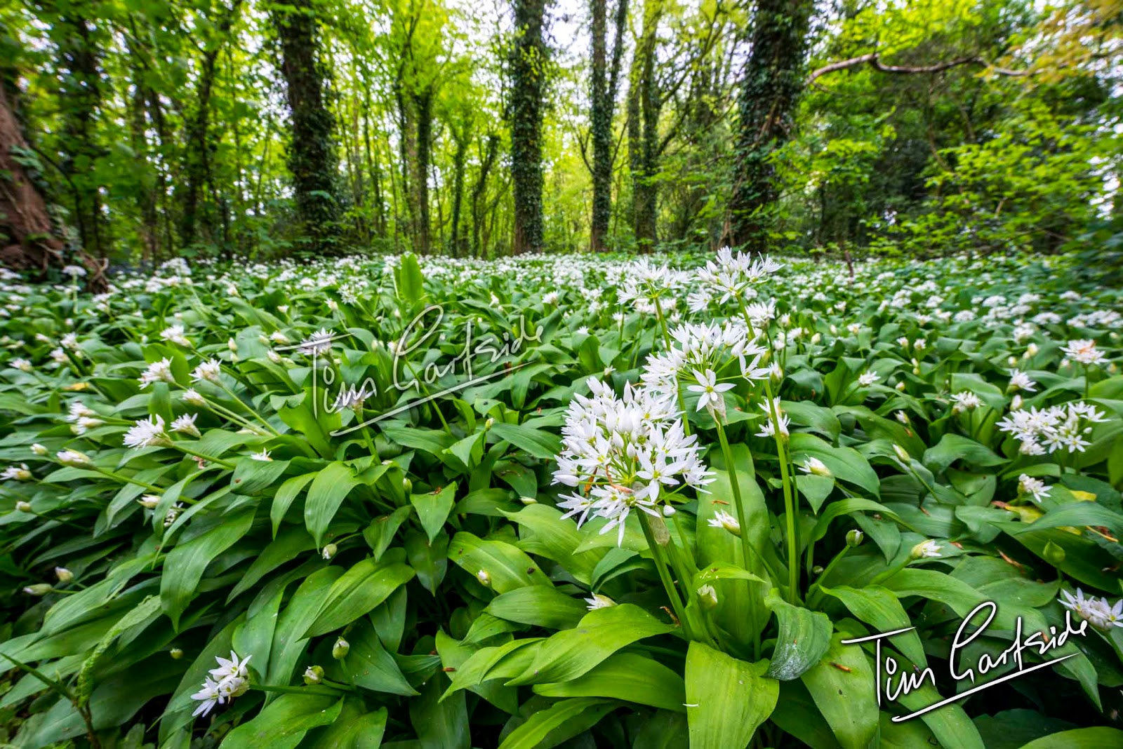 Tim Gartside Photography Workshop Blog