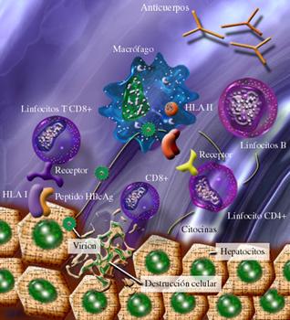 grupo1: Agentes Patogenos