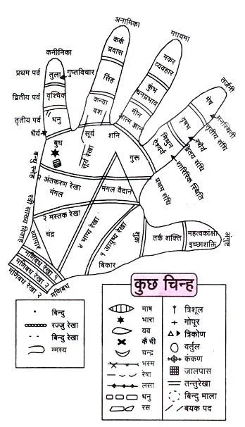 Jeevan Rekha, Hridhya Rekha, Mastak Rekha, Surya Rekha, Bhagya Rekha Ka ...