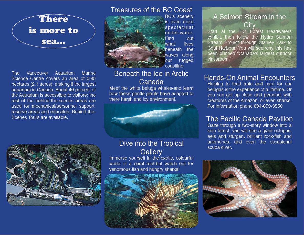 Robert's Portfolio: Vancouver Aquarium pamflet/ brochure