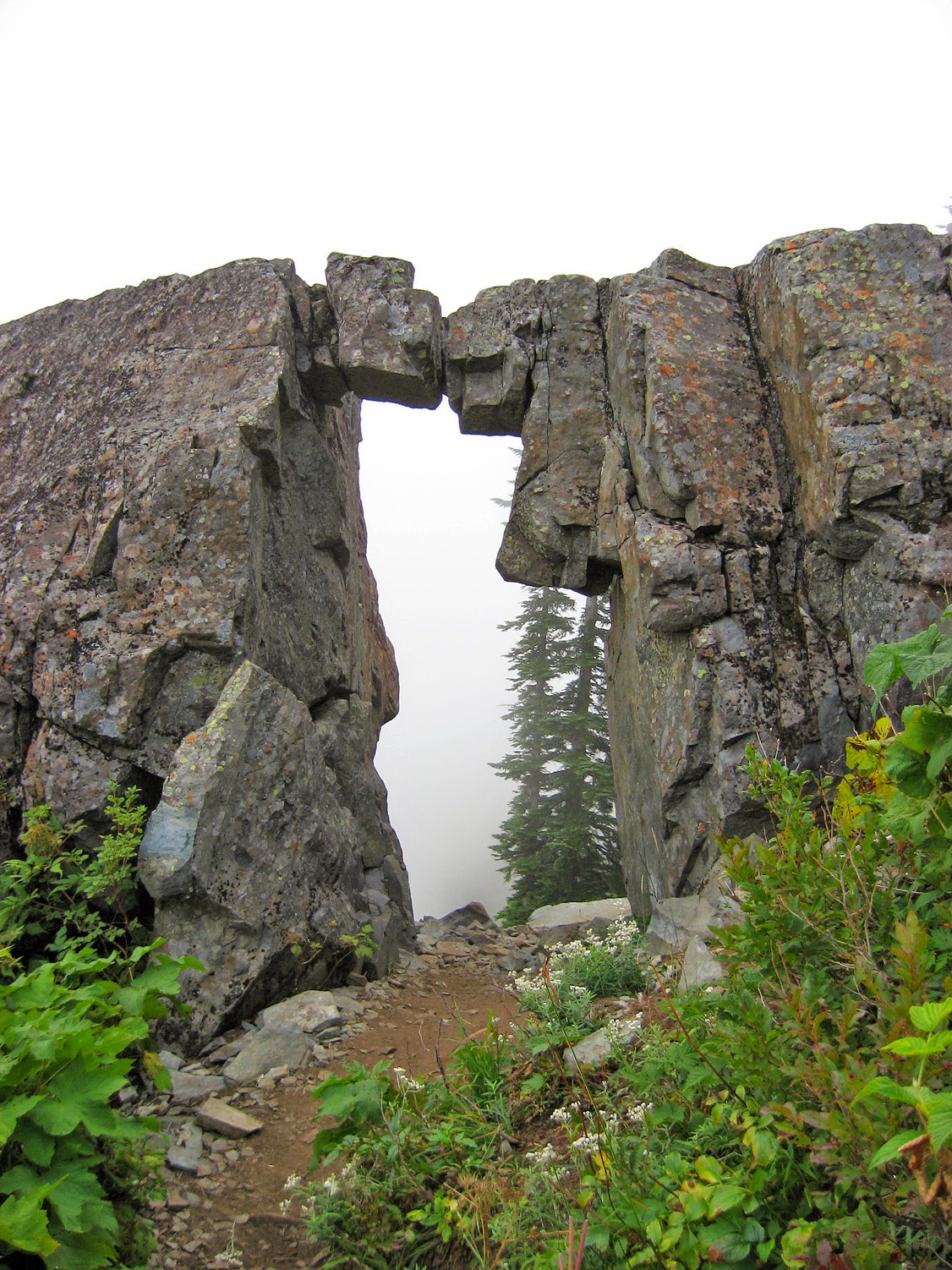 NWflora: Little Baldy Indian Pit hike