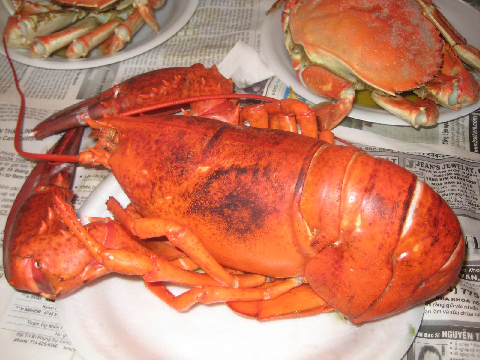 TÔM HÙM ... - Quinhon11