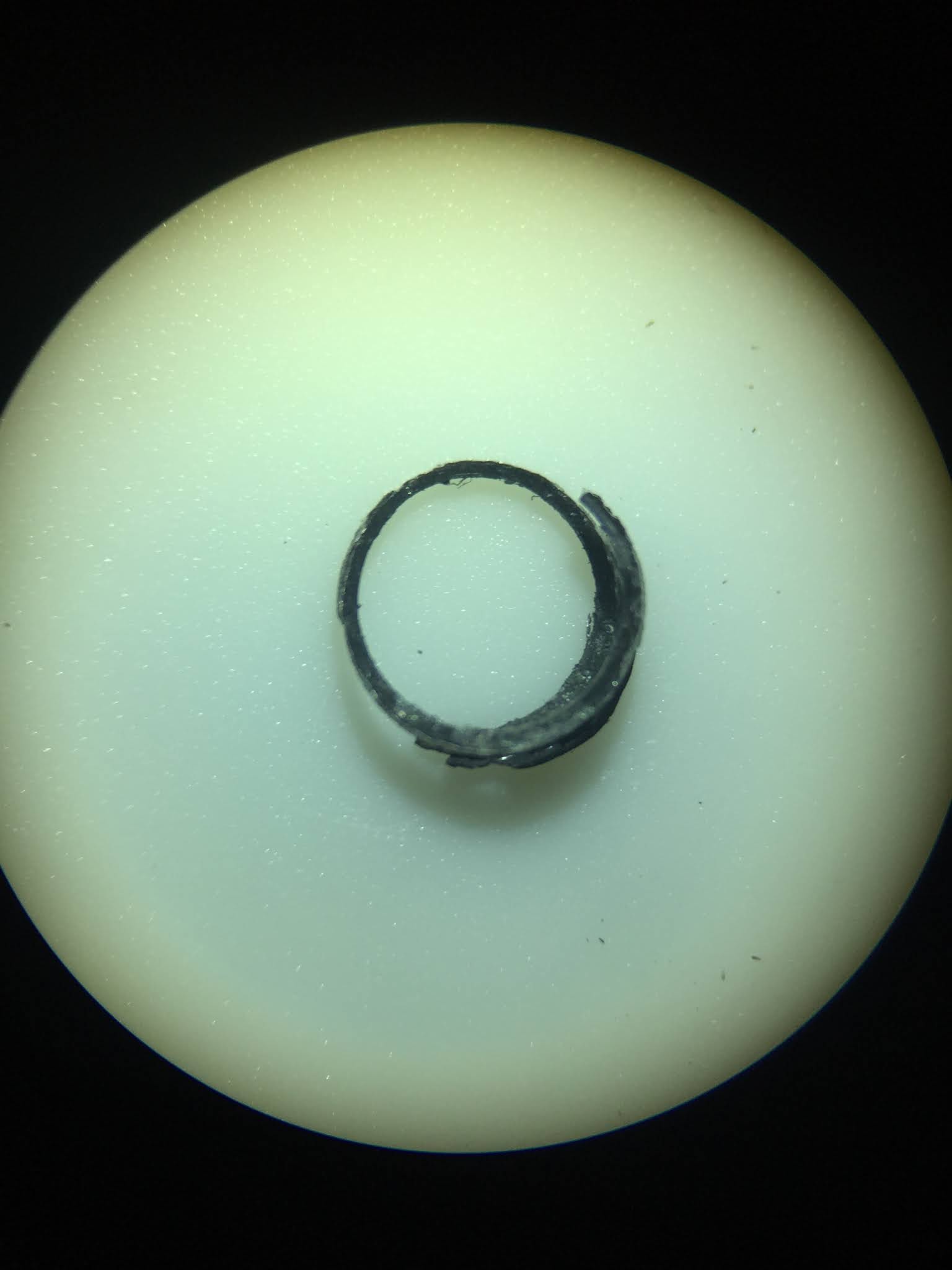 How to make a microscopic 3-D image.