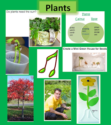 Learning Ideas - Grades K-8: Plant Ideas, Activities, and Resources for ...